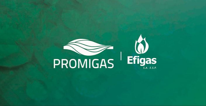Invitación Efigas-Promigas, Informe del sector del gas natural 2017 ...